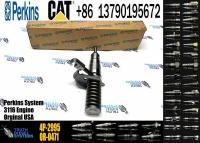 China Diesel Engine Parts Fuel Injector 4P2995 4P-2995 0R8471 Common Rail Fuel Injector for CAT 3116 Injector Nozzle for sale
