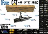 China Diesel Engine Parts Fuel Injector 4P2995 4P-2995 0R8471 Common Rail Fuel Injector for CAT 3116 Injector Nozzle for sale