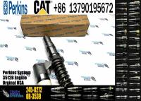 China High Quality Excavator Parts 245-8272 Fuel Injector 2458272 10R-8795 10R8795 Fits CAT 3512C 5230 3406E 3512B Series for sale