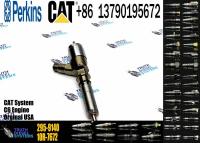China New Common Rail Injector 306-9390 295-9140 310-9067 10R-7668 2645A751 10R-7938for diesel Engine CAT for sale