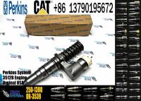 China Direct Sales Carter Engine Common Rail Injector 250-1311 250-1308 250-1306 250-1303 250-1304 Injector for sale