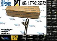 China Fuel Injector 2645A718 2645A734 2645A747 for Perkins 1104D-E44TA Diesel Engine Spare Parts Diesel Injector for Excavator Repair for sale