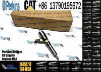 China Fuel Injector 2645A718 2645A734 2645A747 for Perkins 1104D-E44TA Diesel Engine Spare Parts Diesel Injector for Excavator Repair for sale