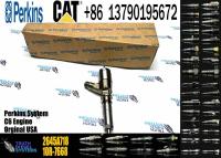 China Fuel Injector 2645A718 2645A734 2645A747 for Perkins 1104D-E44TA Diesel Engine Spare Parts Diesel Injector for Excavator Repair for sale