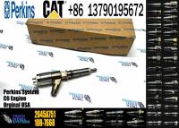 China 2645A748 320D Engine Diesel Fuel Injector 2645A749 320-0690 2645A751 Injector 2645A753 321-3600 for CAT Excavator Perkins for sale
