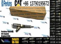 China 2645A748 320D Engine Diesel Fuel Injector 2645A749 320-0690 2645A751 Injector 2645A753 321-3600 for CAT Excavator Perkins for sale