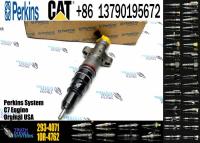 China Diesel Pump Injector 293-4071 2934071 3282573 3879433 387-9433 Common Rail Fuel Injector for CAT C7 C9 Engine for sale