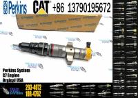 China 293-4072 328-2574 387-9433 Fuel Injector for C9 Engine High Quality Machinery Parts for sale