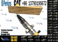 China 293-4073 Auto Motor Part Common Rail Fuel Injector 293-4073 for CAT C9 330D 340D Excavator Diesel Engine Parts Factory Price for sale