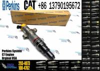 China 293-4073 Auto Motor Part Common Rail Fuel Injector 293-4073 for CAT C9 330D 340D Excavator Diesel Engine Parts Factory Price for sale