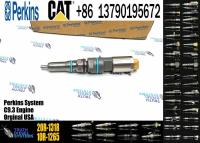 China 367-42932 20R-1318 Common Rail Fuel Injector for Cater Pillar CAT C9.3 diesel Engine Parts for Rail Injector for sale