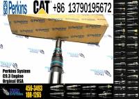 China 456-3493 4563493 Common Rail Fuel Injector for 336E LN 568 FM 336E LH 336E LNH 336E L 568 FM LL 336E H 336E Excavator for sale