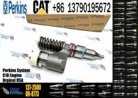 China Excavator Injector 137 2500 1372500 137-2500 for C10 Engine Parts Diesel Nozzle Assembly for sale