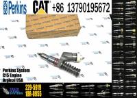 China Excavator Parts 229-5919 Fuel Injector 229-5919 10R-1000 10R-1000 for CAT C18 C15 C12 C13 3406E Series for sale