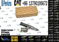 China Excavator Parts 229-5919 Fuel Injector 229-5919 10R-1000 10R-1000 for CAT C18 C15 C12 C13 3406E Series for sale