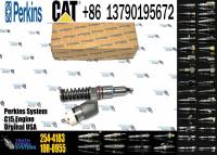 China Excavator Parts 254-4183 Fuel Injector 254-4183 2544183 for CAT C15 C18 C12 C13 3406E Series for sale
