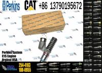 China Excavator Parts 254-4183 Fuel Injector 254-4183 2544183 for CAT C15 C18 C12 C13 3406E Series for sale