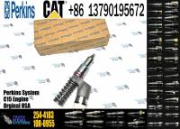 China Excavator Parts 254-4183 Fuel Injector 254-4183 2544183 for CAT C15 C18 C12 C13 3406E Series for sale