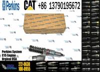 China Excavator Parts 254-4183 Fuel Injector 254-4183 2544183 for CAT C15 C18 C12 C13 3406E Series for sale