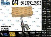 China Fuel Injector 289-0753 2890753 Diesel Engine Fuel Injector 20R-5036 20R5036 for CAT C15 C18 C11 C10 3406E for sale