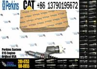China Fuel Injector 289-0753 2890753 Diesel Engine Fuel Injector 20R-5036 20R5036 for CAT C15 C18 C11 C10 3406E for sale