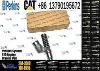 China Excavator Parts 294-3500 Fuel Injector 2943500 FOR CAT C15 C18 C12 C13 3406E Series for sale