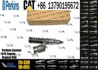 China Excavator Parts 294-3500 Fuel Injector 2943500 FOR CAT C15 C18 C12 C13 3406E Series for sale