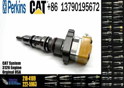 China Common Diesel Injector 218-4109 Fuel Injector 218-4109 10R8999 for sale