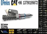 China 10R-1273 10R1273 for C15 Truck Engine Injectors253-0618 253-0616 374-0750 for sale