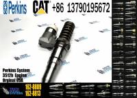China New 392-0206 Fuel Injector Diesel Engine 3508 3508B 3512B 3512C 3516B 3516C Models 114-6466 126-7992 162-8809 229-0194 250-1306 for sale
