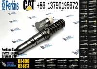 China New 392-0206 Fuel Injector Diesel Engine 3508 3508B 3512B 3512C 3516B 3516C Models 114-6466 126-7992 162-8809 229-0194 250-1306 for sale