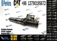 China New 392-0206 Fuel Injector Diesel Engine 3508 3508B 3512B 3512C 3516B 3516C Models 114-6466 126-7992 162-8809 229-0194 250-1306 for sale