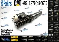 China New 250-1312 250-1311 250-1308 250-1306 250-1304 250-1303 Diesel Injector for Auto Part Car Common Rail Fuel for sale