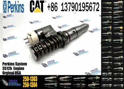China New 250-1312 250-1311 250-1308 250-1306 250-1304 250-1303 Diesel Injector for Auto Part Car Common Rail Fuel for sale