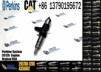 China Diesel Engine Injector C4.4 Fuel Injector 295700-1200 295050-0331 370-7282 295050-0401 for C-AT for sale