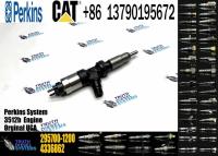 China Diesel Engine Injector C4.4 Fuel Injector 295700-1200 295050-0331 370-7282 295050-0401 for C-AT for sale