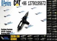 China Diesel Engine Injector C4.4 Fuel Injector 295700-1200 295050-0331 370-7282 295050-0401 for C-AT for sale