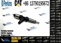 China Diesel Engine Injector C4.4 Fuel Injector 295700-1200 295050-0331 370-7282 295050-0401 for C-AT for sale