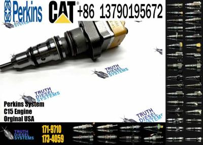 China Factory Hot Sale Fuel Injector Assembly 171-9710 222-5966 173-9379 128-6601 1719710 1739379 with More for sale