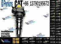 China Injector 10R-1267 232-1171 206-1217 0R-9350 222-5972 10R-9239 196-4229 10R-0969 for 3126 Engine Parts Diesel Nozzle Assembly for sale
