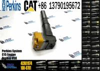 China Best-selling CAT 3412E Engine Assembly Fuel Injector 4CR01974 232-1166 174-7527 for Engine Accessories for sale
