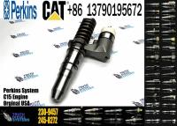 China New Common Rail Injector 230-9457 249-0746 386-1769 392-0200 392-0201 392-0202 for diesel Engine CAT for sale