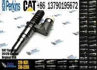 China High Quality Auto Parts Common Rail Fuel Injector 229-1631 2291631 for sale