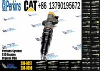 China C7 Engine Diesel Common Rail Fuel Injector CA2434502 243-4502 243 4502 10R-4761 20R-8057 for Cater-pillar Excavator for sale
