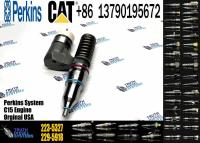 China Excavator Loader Parts 2123460 10R-0960 161-1708 194-5080 223-5327 223-5328 212-3460 Diesel Engine C10 12 Fuel Injector Assembly for sale