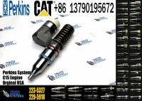 China Excavator Loader Parts 2123460 10R-0960 161-1708 194-5080 223-5327 223-5328 212-3460 Diesel Engine C10 12 Fuel Injector Assembly for sale