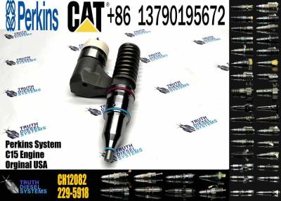 China China New High Quality CH12082 229-5919 Diesel Fuel Injector for Truck Engine for with 2206A and 2206C Engines for sale