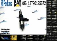 China Diesel Common Rail Injector 295050-1810 418-3229 4183229 for CAT for sale