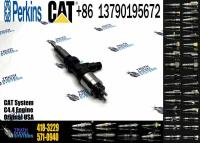 China Diesel Common Rail Injector 295050-1810 418-3229 4183229 for CAT for sale