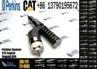 China Excavator Accessories for CAT C11 C13 C15 Fuel Injector 191-3003 1913003 200-1117 2001117 for Construction Machinery for sale